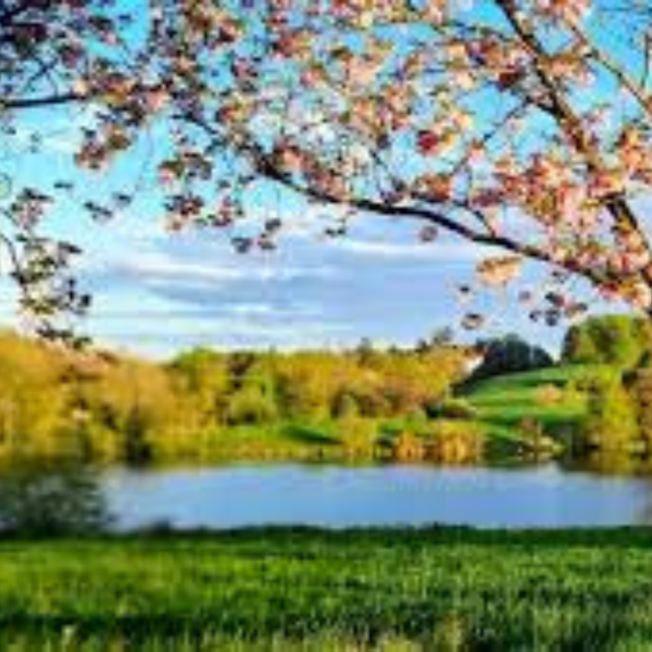 Weekend Retreats – Meditation and Modern Buddhism in Northern Ireland